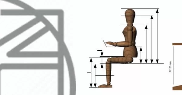 Anthropometry and Today's Ergonomics of Furniture